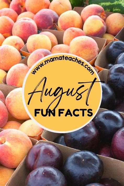 Fun Facts About August Mama Teaches