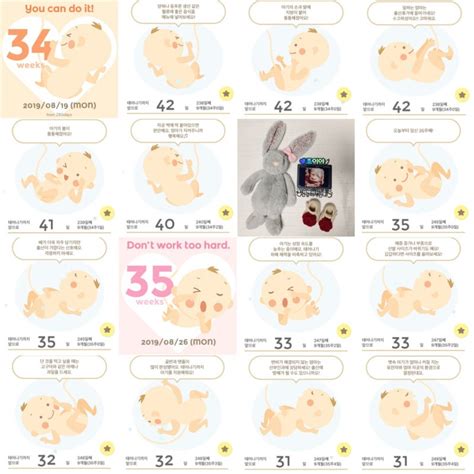 이유부부의 8월 일상이야기 두번째임신34 35주차 기록 출산준비and출산빨래 막달검사 네이버 블로그
