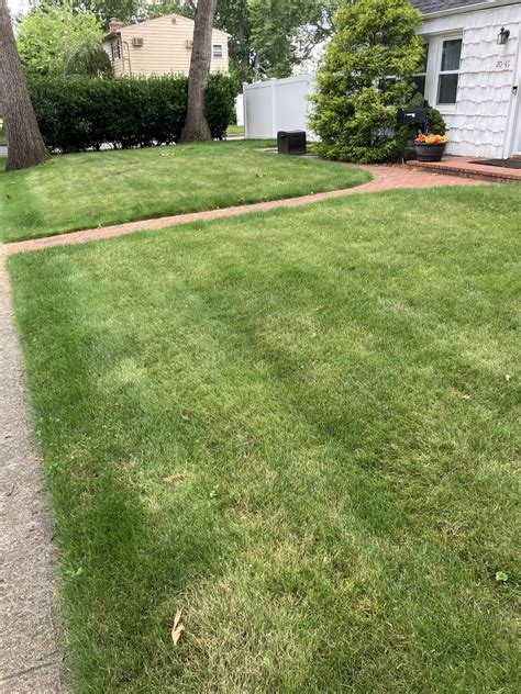 Cant Figure Out Whats Wrong Any Ideas Rlawncare
