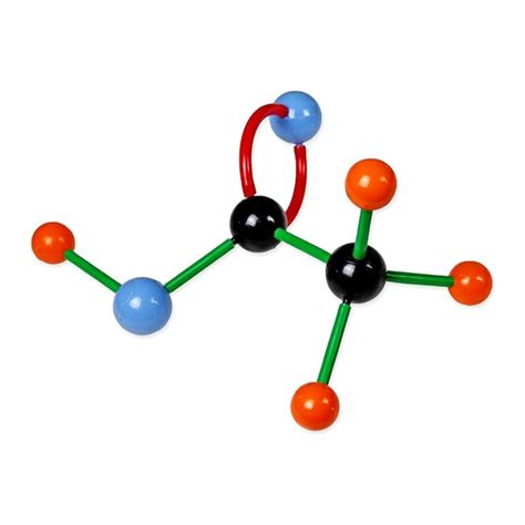 Large Molecular Model Kit Oak Scientifics