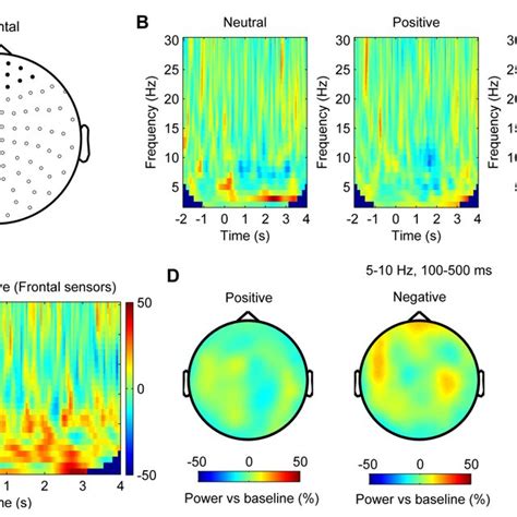 Thetaalpha Oscillations In The Prefrontal Cortex Are Differentially Download Scientific