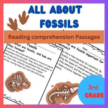 Fossils Activities Reading Passages Worksheets And Fun Facts TPT