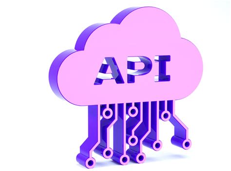 A Beginners Guide What Is An Api