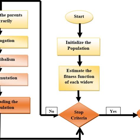 Schematic Diagram Of The Bwo Algorithm Download Scientific Diagram
