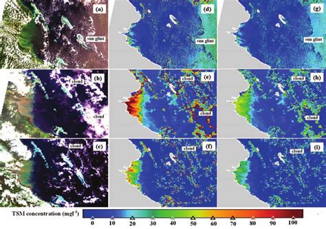 7 Temporal Variation Of Tsm Concentration Mgl 1 In The Berau Download Scientific Diagram