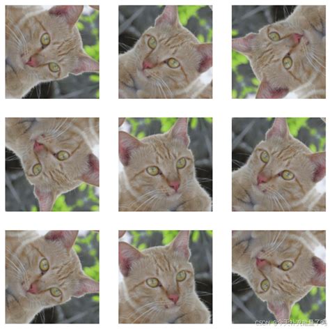 T10 Tensorflow入门实战——猫狗识别2 Csdn博客