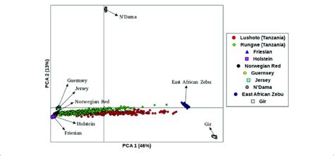 Principal Component Analysis PCA Plot Showing Clustering Of Download Scientific Diagram
