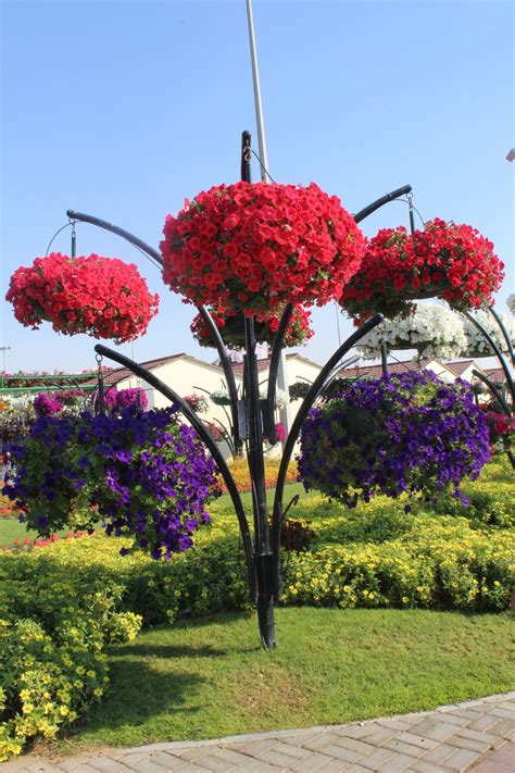 무료 이미지 나무 가을 식물학 정원 플로라 꽃들 관목 아름다운 화단 플로리스트 리 꽃 피는 식물 플로랄