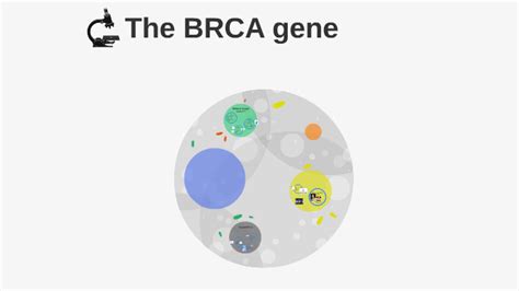The Brca Gene By Yalda T On Prezi