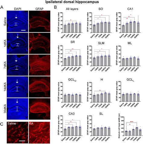 Validation Of The Ihka Model In The Development Of Mtle In The Download Scientific Diagram