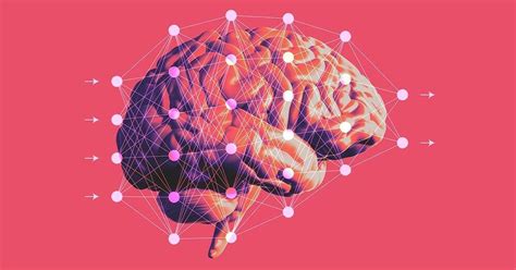 How Ai Transformers Mimic Parts Of The Brain Lifeboat News The Blog