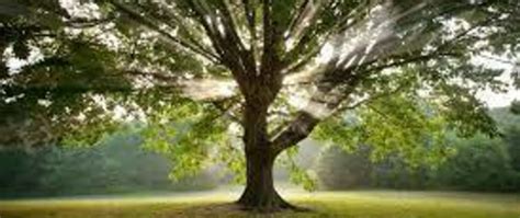 Gajanan Wattamwar Dev Community