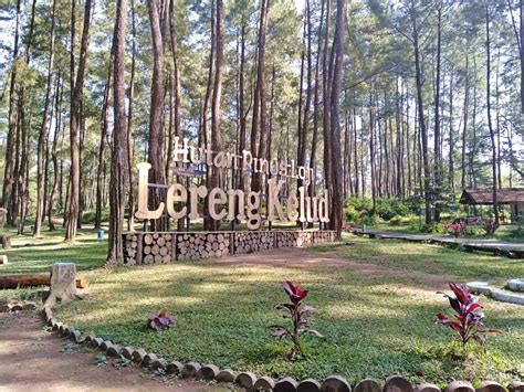 Hutan Pinus Loji Blitar Wisata Sejuk Alami Di Lereng Gunung Kelud