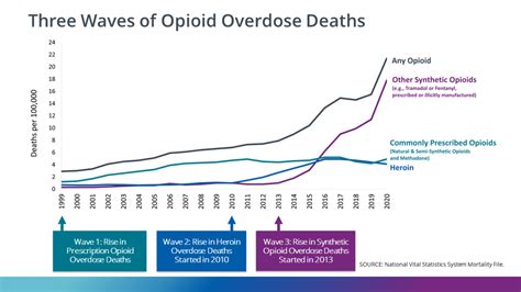 Opioid Epidemic In The United States Wikipedia