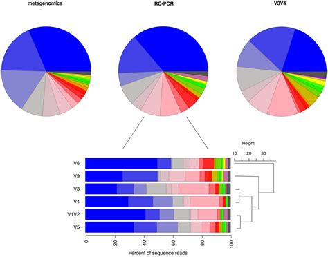 Simultaneous Analysis Of Seven 16s Rrna Hypervariable Gene Regions Increases Efficiency In