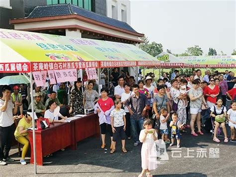 茶庵岭镇举办首届西瓜节暨西瓜展销会 云上赤壁