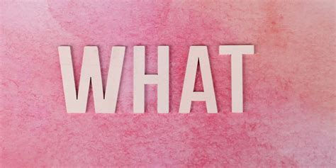 What Is Positivism Ignou Corner