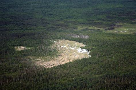 Largest Beaver Dam World Record Set By Canadian Beavers