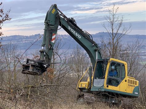Agriforest TREE SHEARS