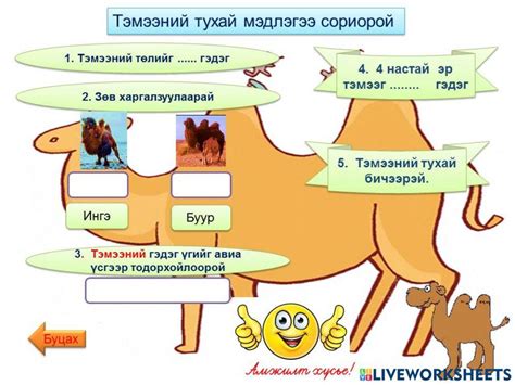 Тэмээний тухай мэдлэг Online Exercise For Live Worksheets