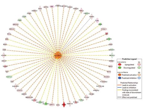 List Of Genes Involved In Increased Cell Viability In Ah Livers With