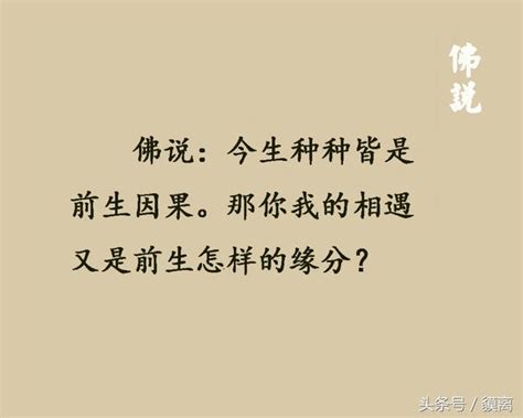 向來緣淺奈何情深 每日頭條