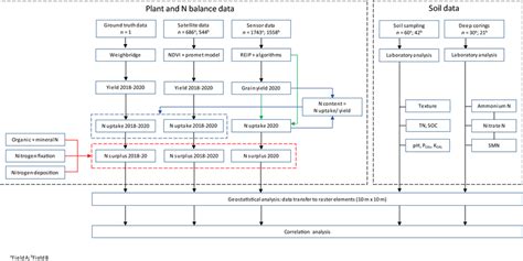 Flow Chart Of The Consecutive Work Steps In This Study Download Scientific Diagram