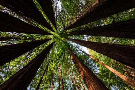 San Francisco 3 Breathtaking Nature Parks To Discover