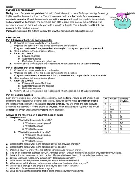 Enzyme Substrate Complex Equation