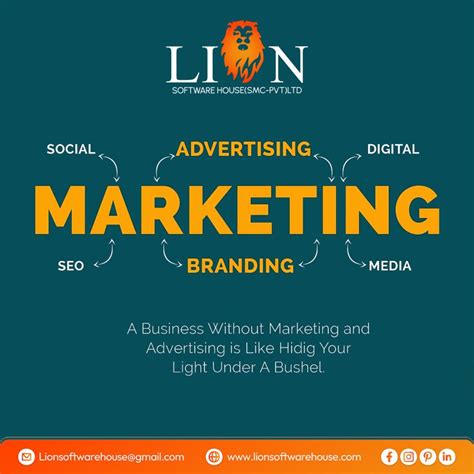 lion software house pvt ltd on linkedin lionsoftwarehouse
