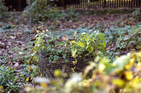 식물 배설물을 위한 퇴비 쓰레기통은 친환경 재활용을 지원하기 위해 정원에 설치되어 있습니다 유기 비료는 식물 파편으로 만들어져 지속 가능성과 자연 원예 관행을 촉진합니다