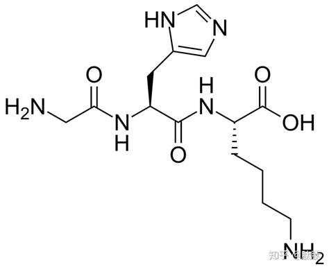 寡肽 3oligopeptide 3是一种氨基酸组成的十三肽 知乎