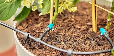 ℹ Descubre El Sistema De Riego Por Goteo Y Los Productos Agrícolas De Mundo Riego