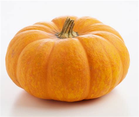 Potiron Vacances Guide Voyage