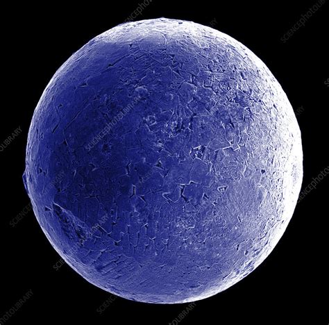 Micrometeorite Structure Sem Stock Image C0434506 Science Photo