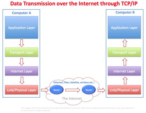 The TCP IP Family Of Internet Protocols Bioinformatics Web Development