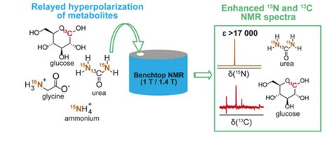 383 13c And 15n Benchtop Nmr Detection Of Metabolites Via Relayed