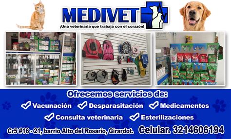 Daniela Verswyvel Logra Subcampeonato Mundial En Figuras De EsquÍ