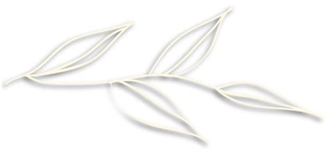 Menu Grassroots Elevated Dining In The Heart Of St Thomas