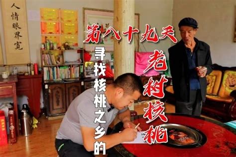 寻找核桃之乡千年老树核桃的第八十九天 凤凰网视频 凤凰网