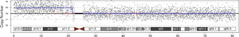 Cnv‐seq Result Of Case 3 Cnv‐seq Revealed A 21 40‐mb Duplication Download Scientific Diagram
