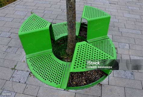 나무 주위에 구멍이 있는 벤치 녹색 페인트 금속 천공 플레이트 피자나 토끼풀처럼 나무 주변의 세 곳 공원의 콘크리트 포장 경로 0명에 대한 스톡 사진 및 기타 이미지