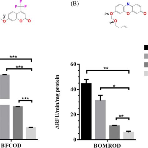 Metabolism Of Two Artificial Fluorogenic Substrates By Three