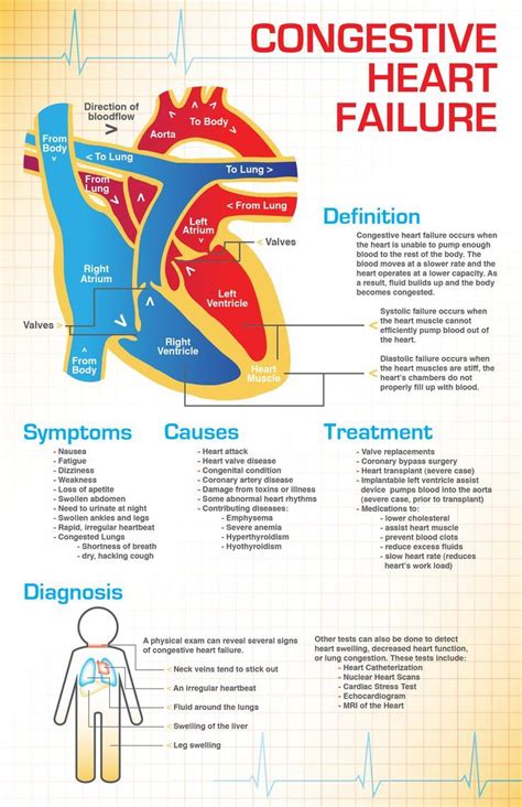 Medications That Prolong Life In Chf Aceis Abbs Beta Blockers Spironolactone Nurse