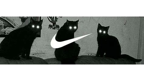 Banner Animado Discord