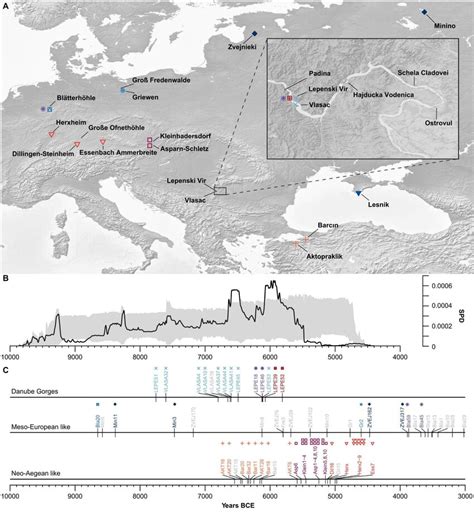 Spatial And Temporal Distribution Of The Ancient Nuclear Genomic Download Scientific Diagram