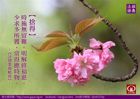 捨得 香光尼僧團 blog