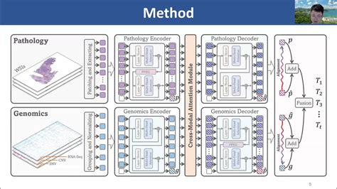 Cross Modal Translation And Alignment For Survival Analysis Youtube