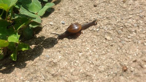 달팽이 자유갤러리 딜바다닷컴