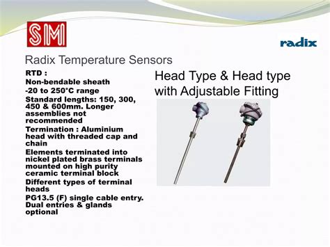 Sm Electronics Services Exhbit Ppt Pptx